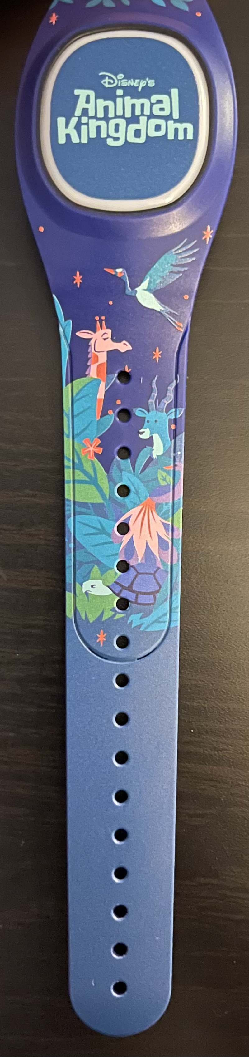Disney s Animal MagicBand Details Disney MagicBand MyMagic 