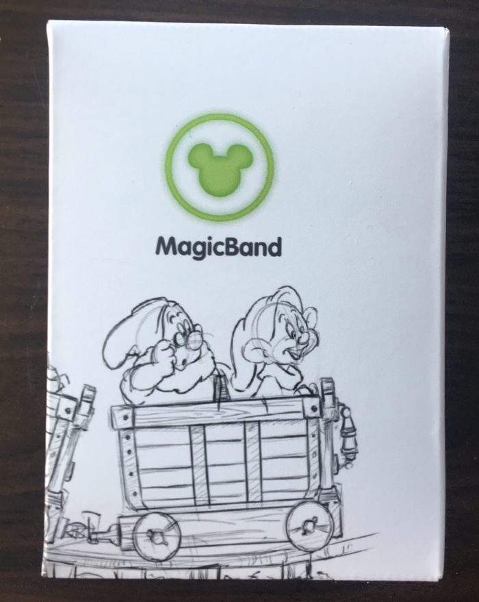 Development - Disney MagicBand, MyMagic+, and FastPass+ collectables
