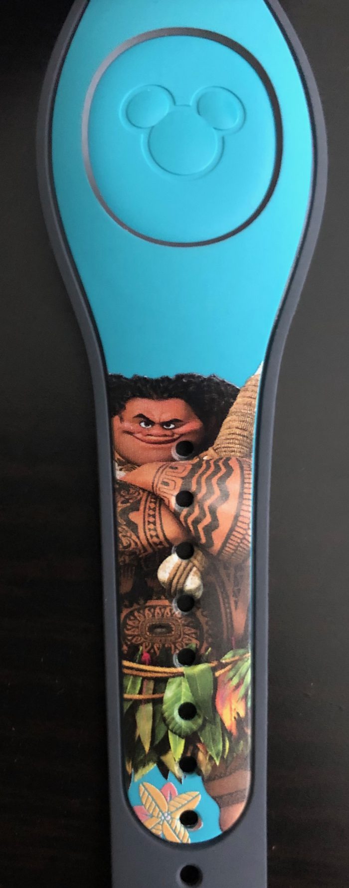 New Moana with Maui and Pua Open Edition MagicBand out at the theme ...